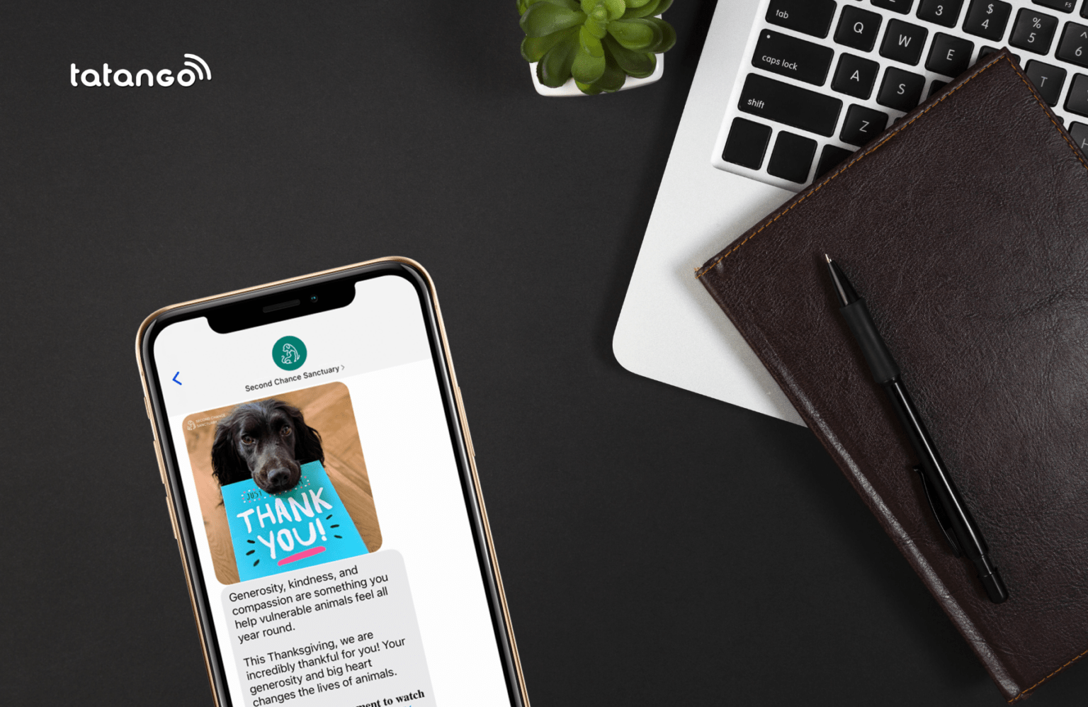 An Ultimate Guide to SMS Short Codes: How to Get Started