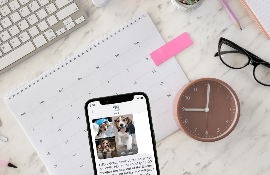 An Ultimate Guide to SMS Short Codes: How to Get Started